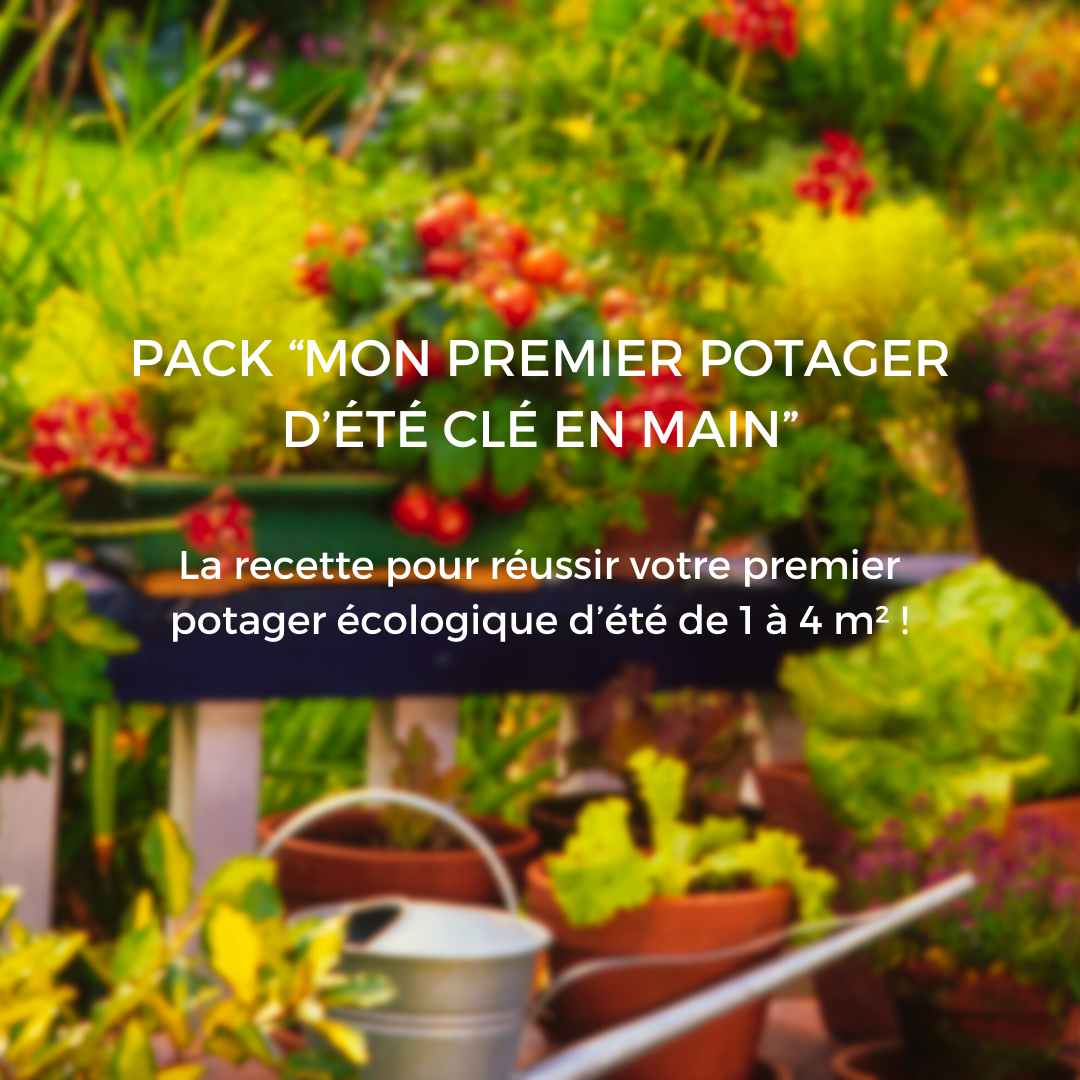 Pack « Mon 1er potager d’été clé en main » ! – Crée ton abondance